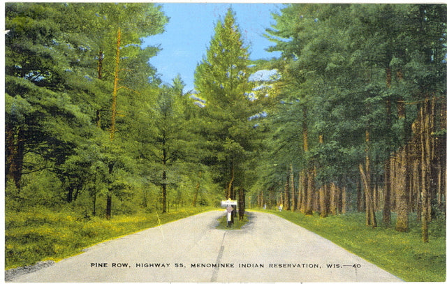 Pine Row, Highway 55, Menominee Indian Reservation, WI [Postcard ...