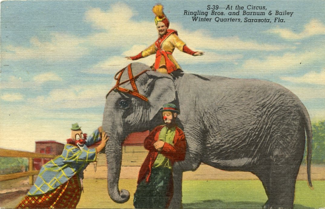 At the Circus, Ringling Bros. and Barnum and Bailey Winter Quarters, S ...